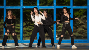 Twin Cities West Metro Asian Fair